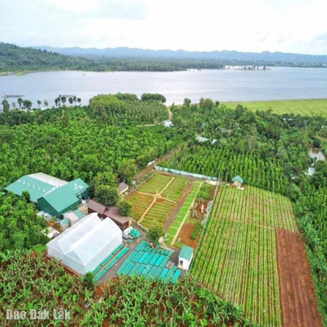 Aeroco Coffee: Sự kết tinh của chất lượng và giá trị bền vững - Báo Đắk ...