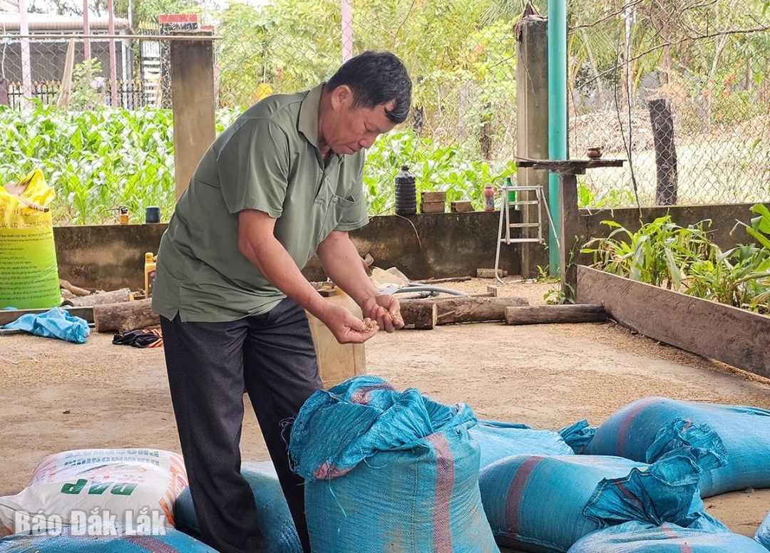 Uy tín từ sự nêu gương, trách nhiệm với cộng đồng - Báo Đắk Lắk điện tử